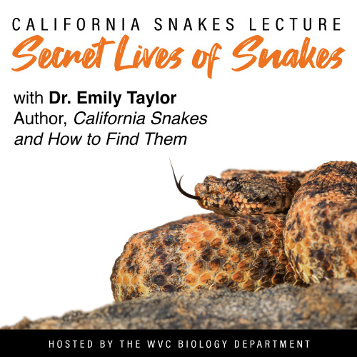 Homepage | West Valley College